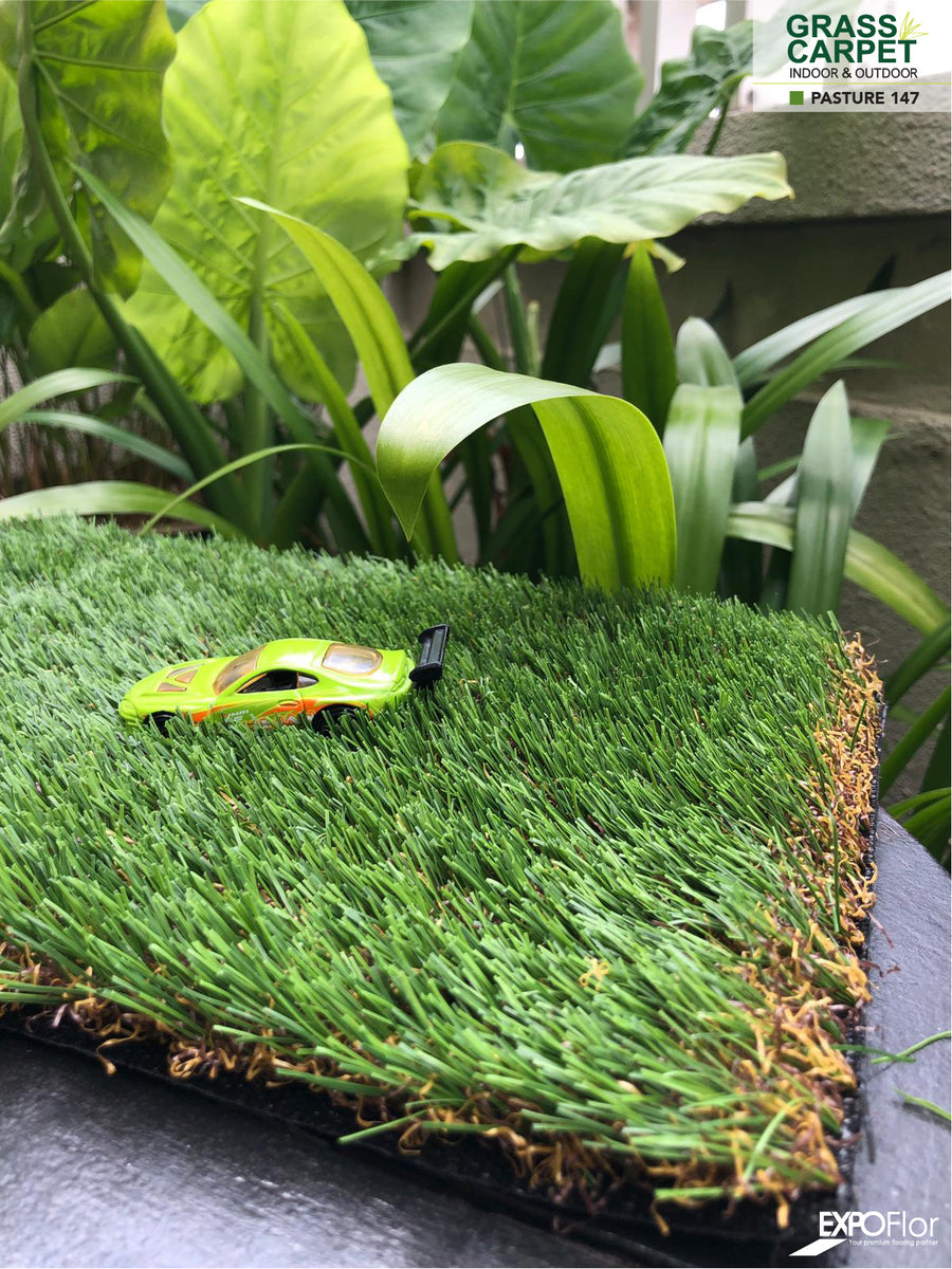 EXPOflor Grass Carpet, Artificial Turf, Indoor, Outdoor Rug - Pasture ...